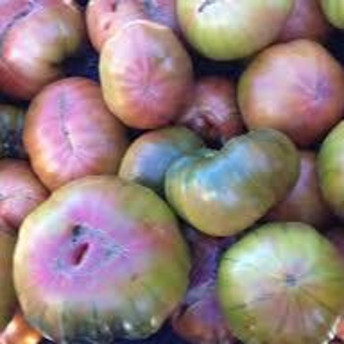 Stream episode "Tomato/seed saving Roundtable" -Invincible Summer Farms ...
