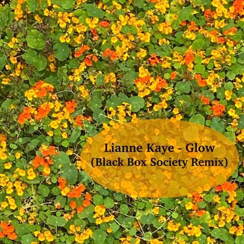 Stream Lianne Kaye – Glow 2023 Contest - Black Box Society Remix by ...