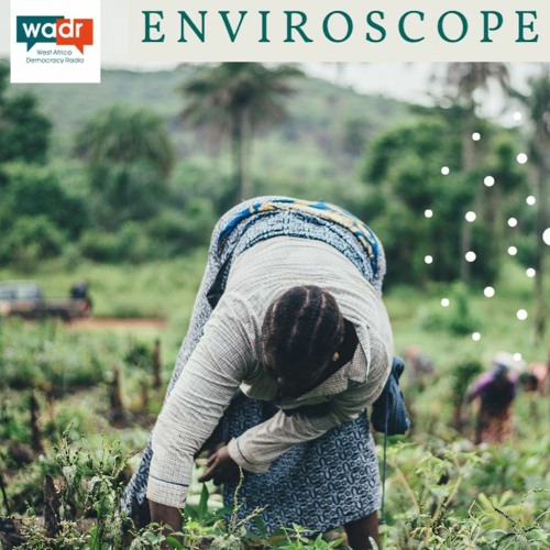 Stream ENVIROSCOPE - Challenges Of Women In Agriculture by WADR | Listen online for free on ...