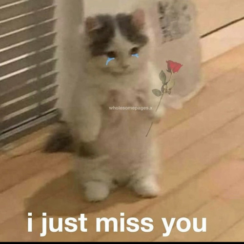 Miss You Meme
