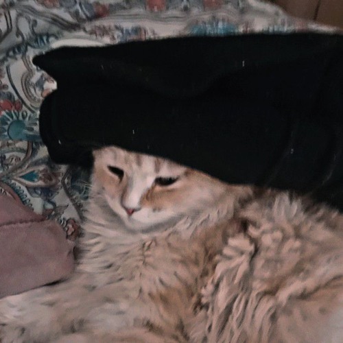 Stream ABOUT QUETTA MADE BY SYED AZAN_20250302_200837.mp3 by Syed Shah ...