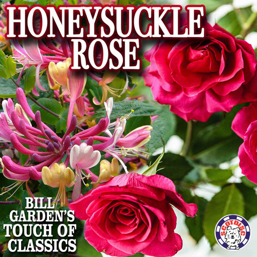 Stream Honeysuckle Rose by Bill Garden | Listen online for free on ...