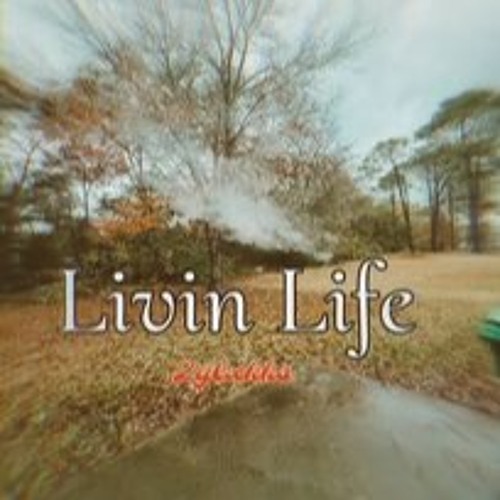 Stream 2glxkks | Listen to Livin Life playlist online for free on ...