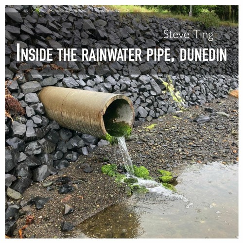 Stream episode Inside the rainwater pipe, Dunedin by Steve Ting podcast ...