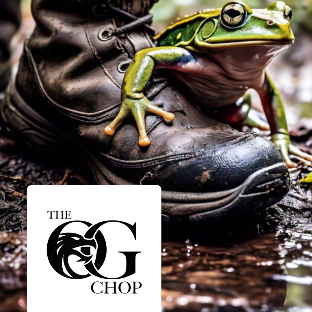 Stream Frog Stomp (EXPLICIT) 90 min by The OG Chop | Listen online for ...