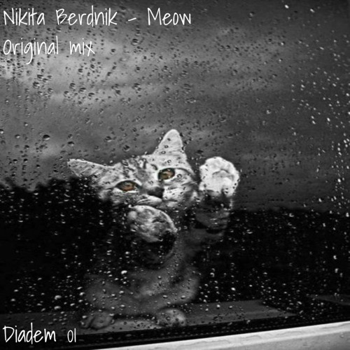 Stream Nikita Berdnik - Meow (Original Mix) by Diadem Records | Listen ...