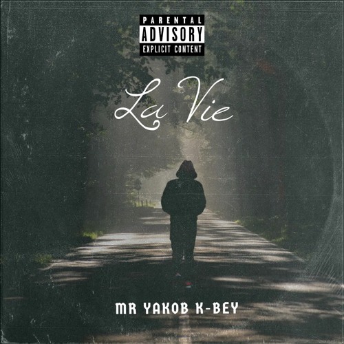 Stream MR YAKOB K-BEY - LA VIE by DOPMAJA | Listen online for free on ...