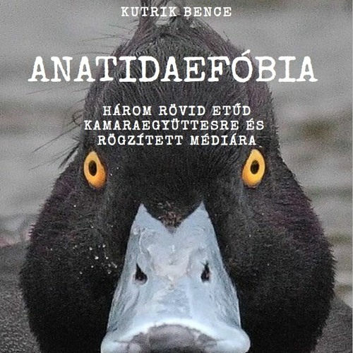 Anatidaefobi