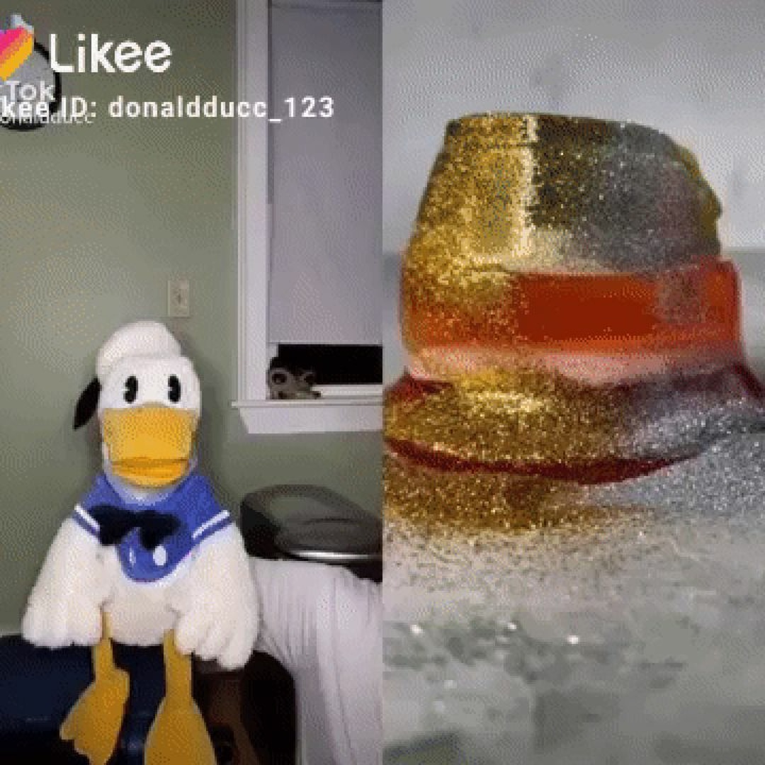 Stream DonaldDucc 🦆 | Listen to DonaldDucc's Playlist playlist online ...