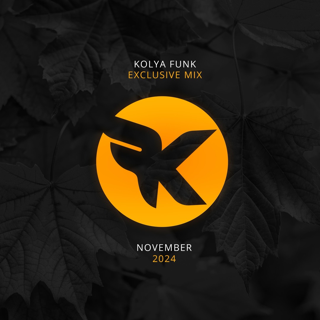 Stream PRESENTS: Kolya Funk 'Exclusive Mix' (November 2024) by ...