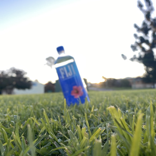 Stream Fiji Water by Auguste Laurent | Listen online for free on SoundCloud