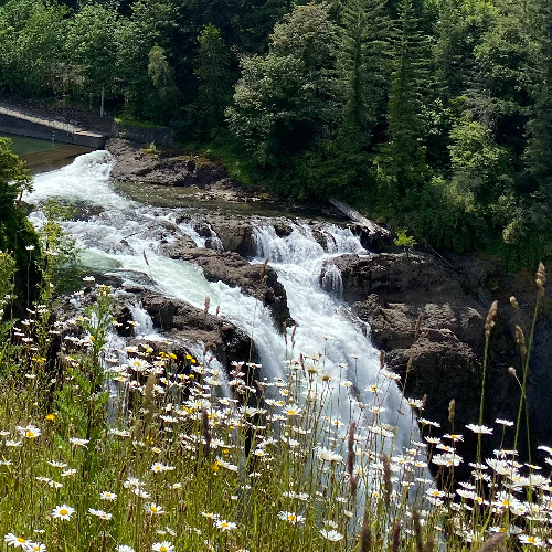 Stream Falling - Julee Cruise, Angelo Badalamenti, David Lynch (mango ...