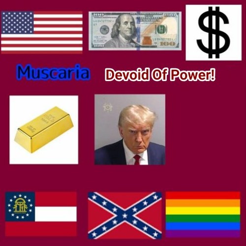 Stream Donald Trump (Devoid Of Power) by MR. SHR00M | Listen online for ...