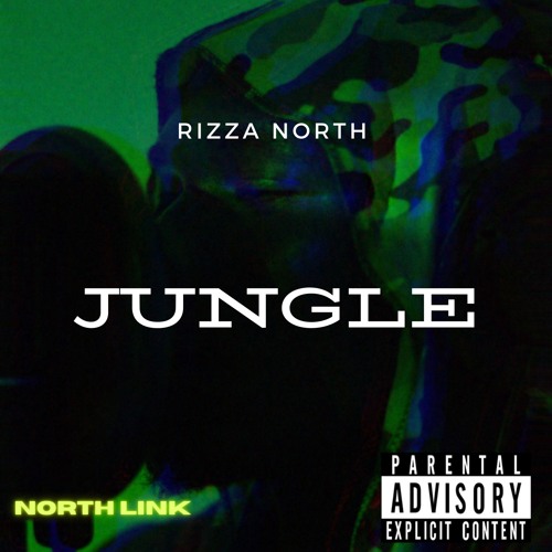Stream Rizza North | Listen to Jungle playlist online for free on ...