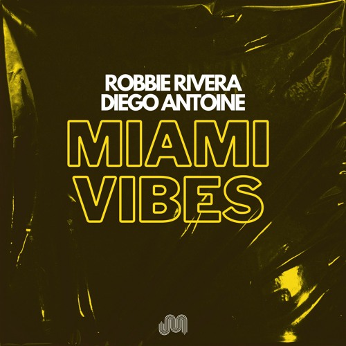 Stream Miami Vibes - Extended Mix by Robbie Rivera | Listen online for ...