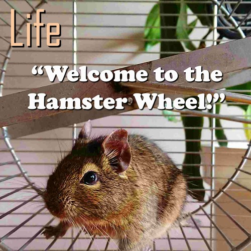 Stream "Welcome to the Hamster Wheel" LIFE Pt.1 by Rev. Joel McDuffie ...