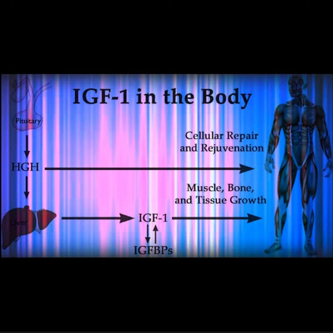 Stream - INSULIN-LIKE GROWTH FACTOR-1 (IGF-1) - Binaural Performance ...