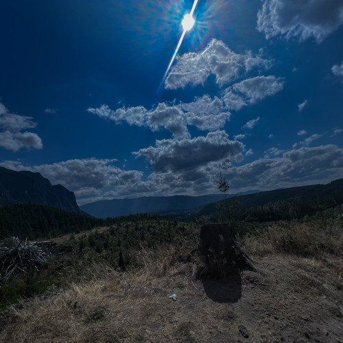 Stream kidK | Listen to THE ONLY PLAYLIST playlist online for free on ...