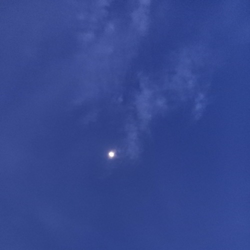 Stream shitty space type beat by CROEX_91 | Listen online for free on ...