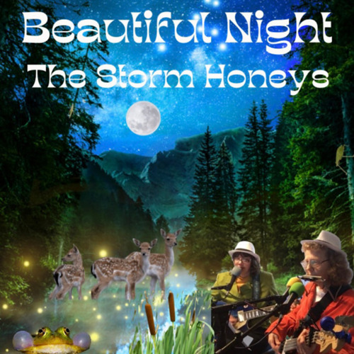 Stream Beautiful Night Single 2023 by The Storm Honeys | Listen online ...