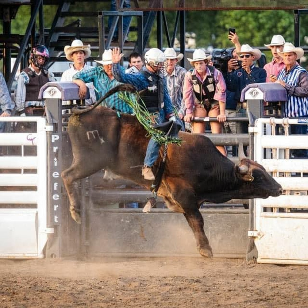 Stream Bull Handy Ep 4 - Mason Moody, Pro Bull Rider by William ...