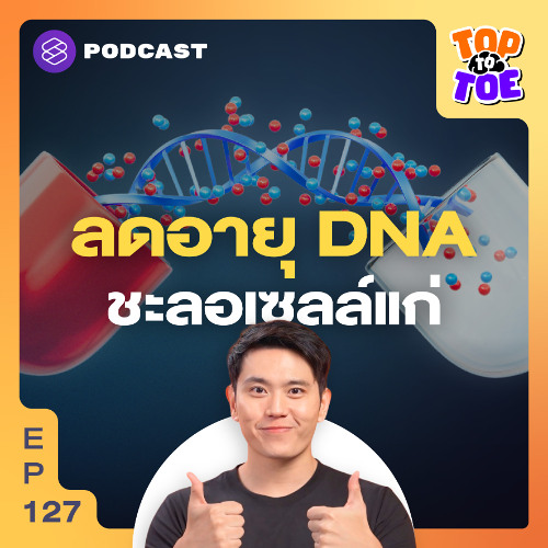 Stream Top to Toe EP.127 เทคนิคดูแลเซลล์ ลดอายุ DNA เพิ่ม Healthspan ...