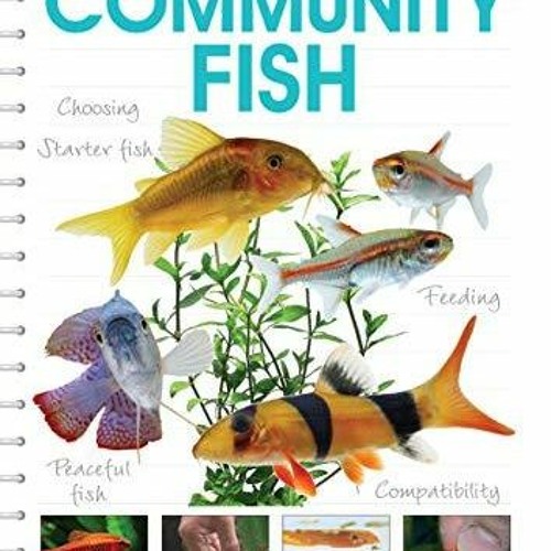 Freshwater Aquarium Fish Compatibility Chart