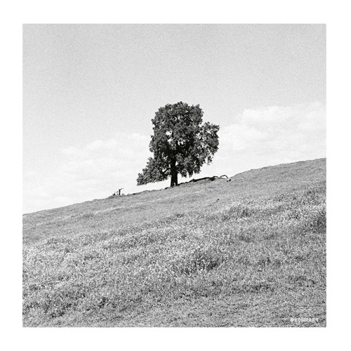 Stream KOMPAKT PREMIERE: Blank Gloss - Soda Lake by Kompakt | Listen ... Stream KOMPAKT PREMIERE: Blank Gloss - Soda Lake by Kompakt | Listen ...