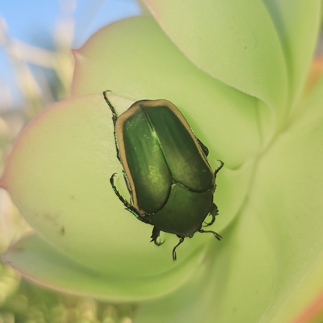 Stream G-Reactive Unscheduled Reaction Vol. 033 by G-Reactive | Listen online for free on SoundCloud