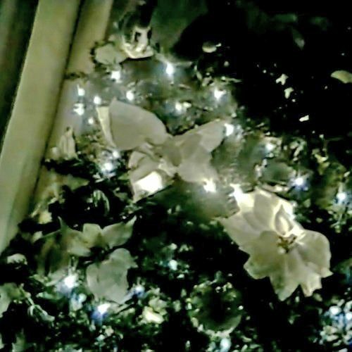 Stream december w/ eternal by Fkwt | Listen online for free on SoundCloud Stream december w/ eternal by Fkwt | Listen online for free on SoundCloud