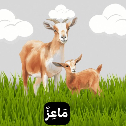 Stream WhatsApp Audio 2025-03-13 at 09.42.40_37209df6.waptt by NUR ...