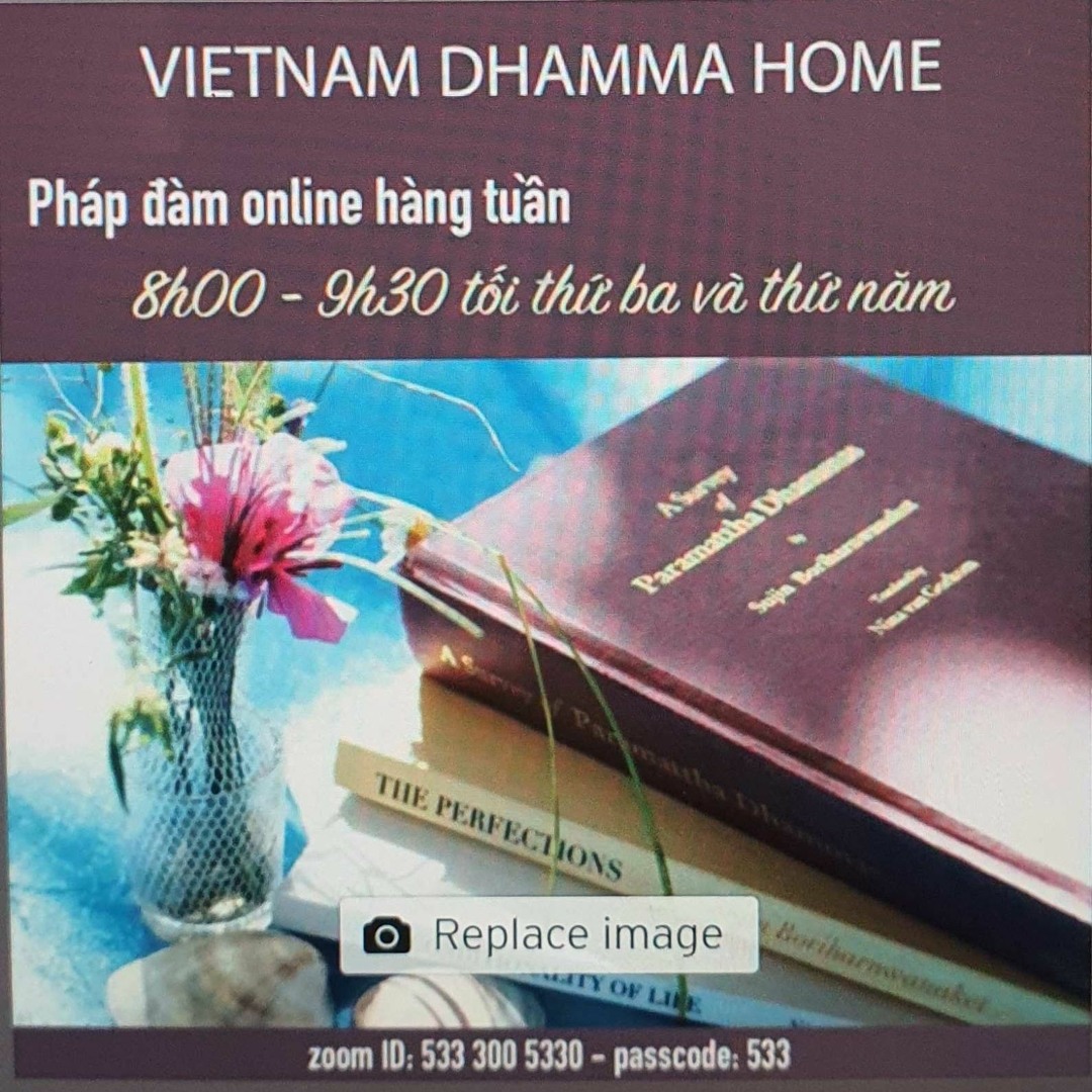 Stream PĐ VDH Tối T3 - 14.11.23 - Trích Đoạn Vô Úy Thí by Vietnam Dhamma Home | Listen online ...