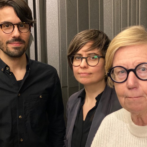 Stream Hur mår privatiseringen? Med: German Bender & Barbro Hedvall by ...