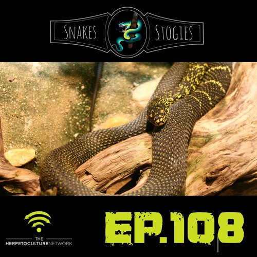 Stream Snakes & Stogies Ep. 108 - Feeders and more with Casey Cannon by ...