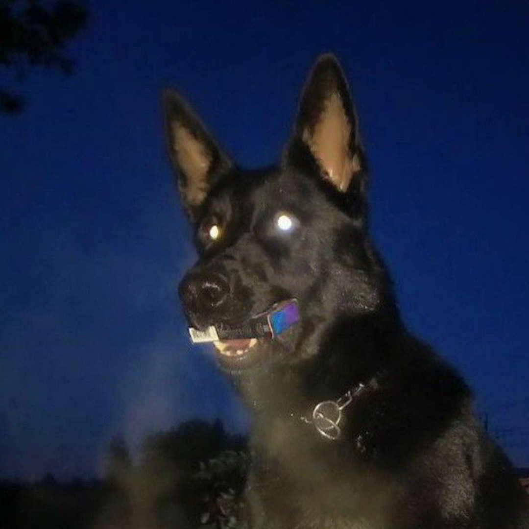 Stream wifiskeleton - you asked for it by wifiskeleton | Listen online ...