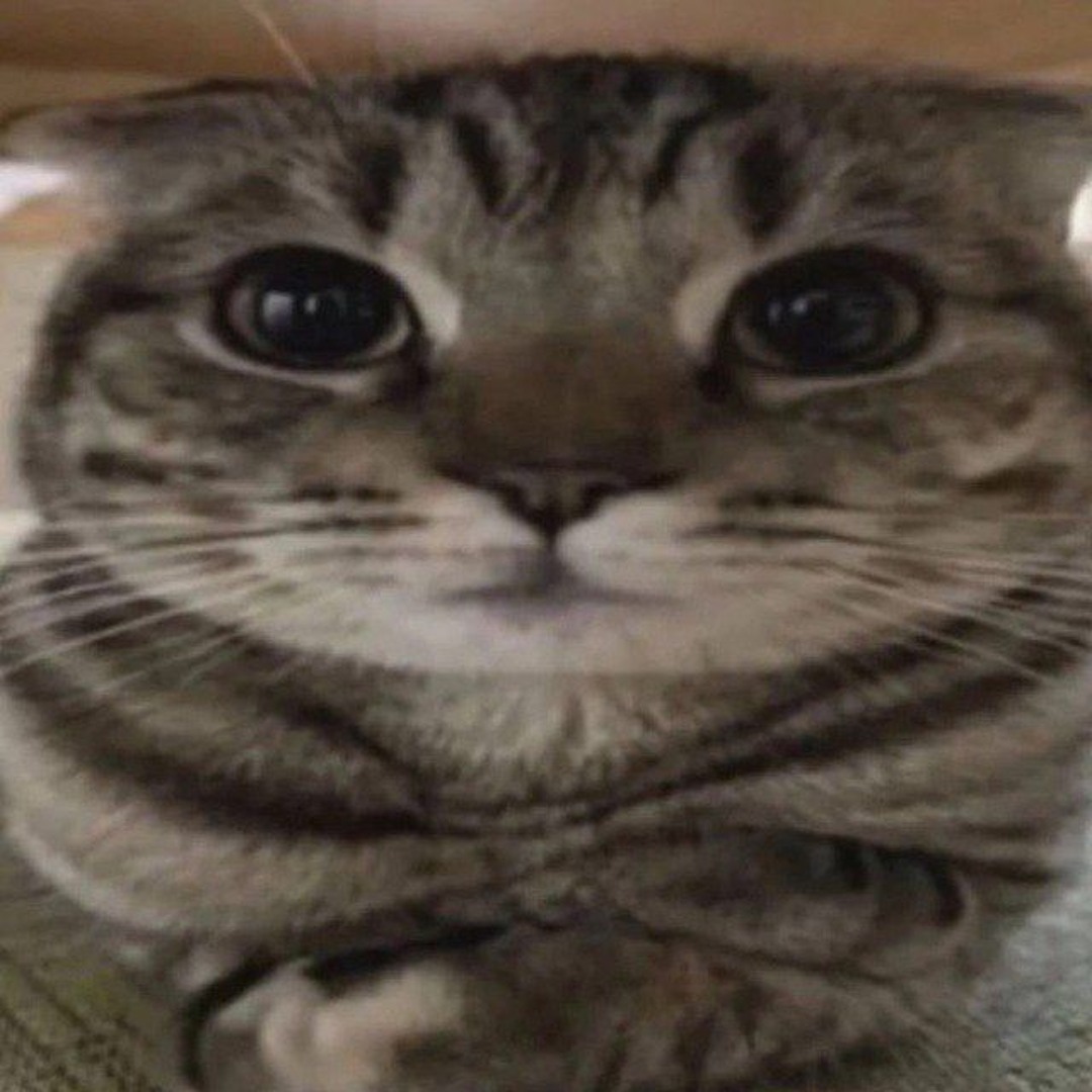 Stream DJ PISKA X DJ DALBAEB by Ket | Listen online for free on SoundCloud