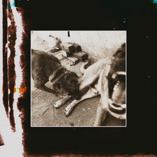 Stream Torn (Limb From Limb) [Extended Mix] by LITTLE SLAUGHTER ...