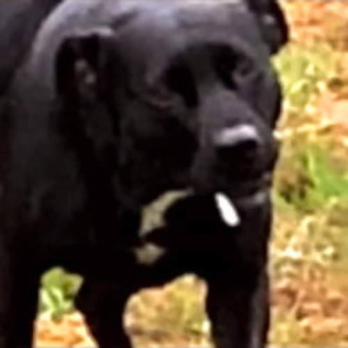 Stream sleeprelapse - matchmyflow [rops + dopelee] by xxxpressions ...