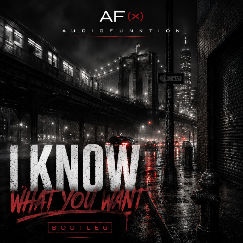 Stream Busta Rhymes | I Know What You Want | Audiofunktion Bootleg ...