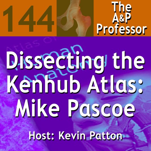 Stream Dissecting the Kenhub Atlas: Insights from Editor Mike Pascoe | TAPP 144 by The A&P ...