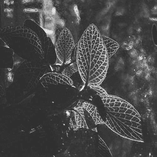 Stream Sisyphus by subiaco | Listen online for free on SoundCloud