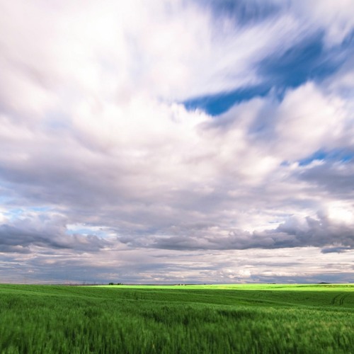 Stream cloudy by Randolph McCree | Listen online for free on SoundCloud