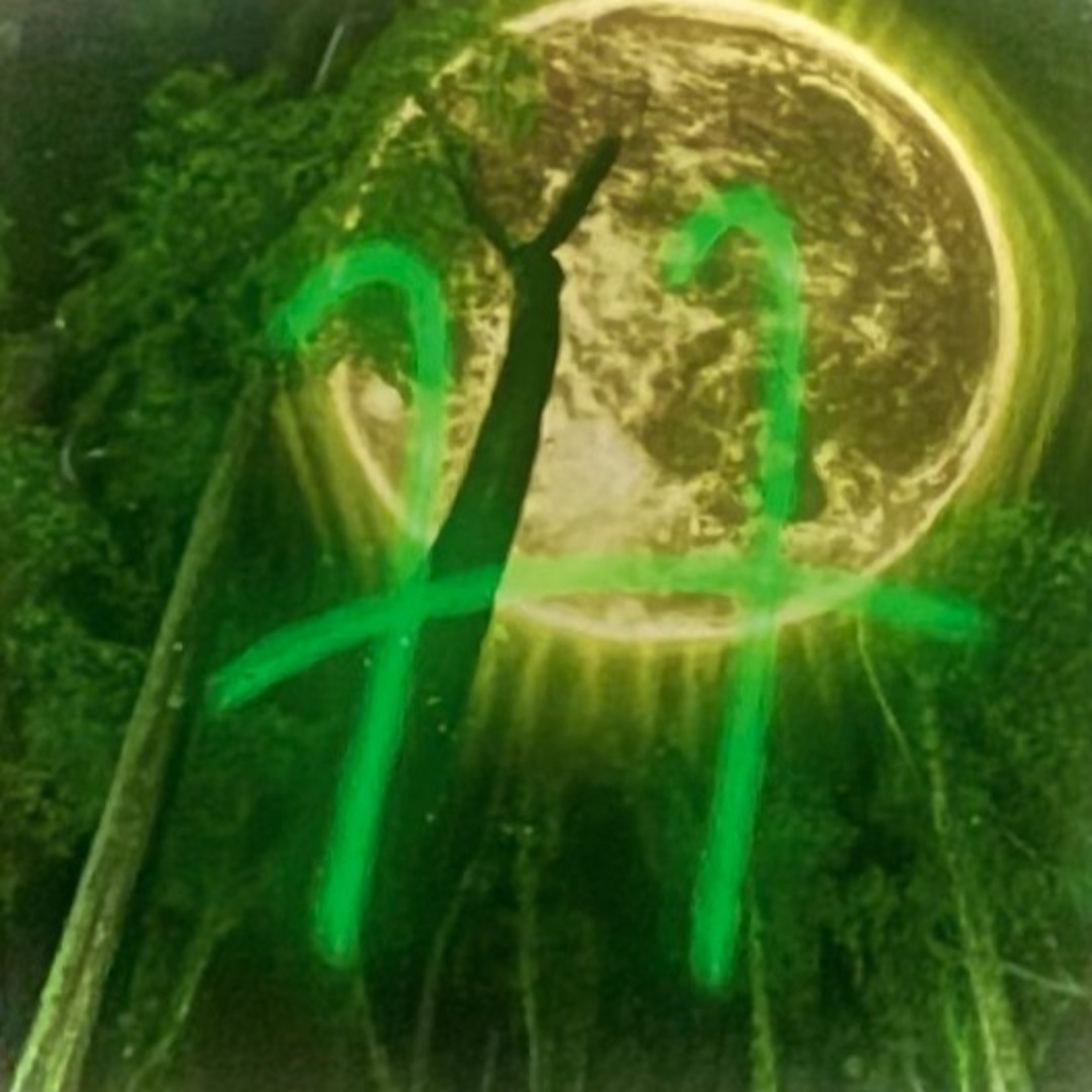 Stream Hulla - "Still I Rise" ; A Poem By Maya Angelou (prod. Terri ...