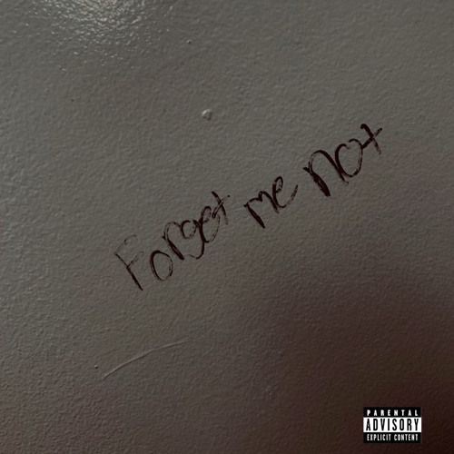 Stream Forget Me Not by No1r | Listen online for free on SoundCloud