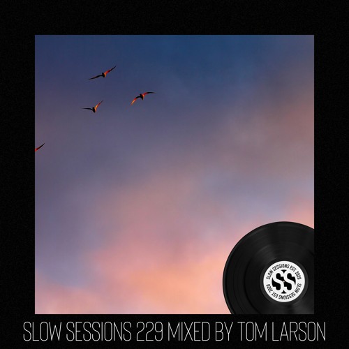 Stream Slow Sessions 229 Mixed by Tom Larson (GER) by Slow Sessions | Listen online for free on ...