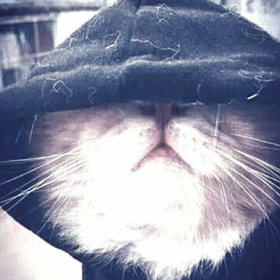 Stream one touch (p. josh bae) by suysuce | Listen online for free on ...