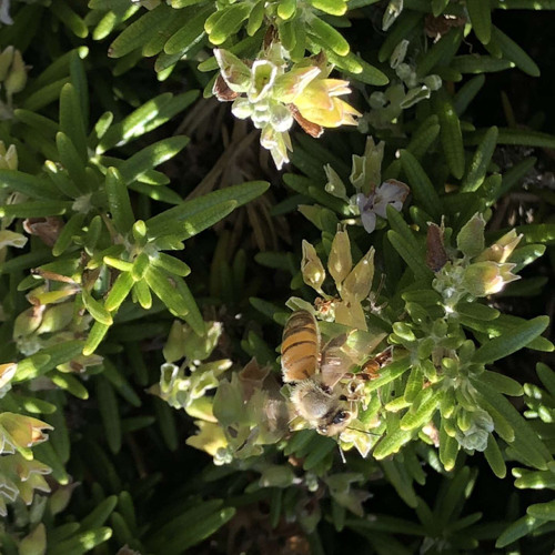 Stream POOR PUNK- DONT LEAVE ft. neptune by 2Jisdead | Listen online ...