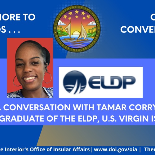 Stream episode Tamar Corry of the US Virgin Islands, Graduate of the Executive Leadership ...