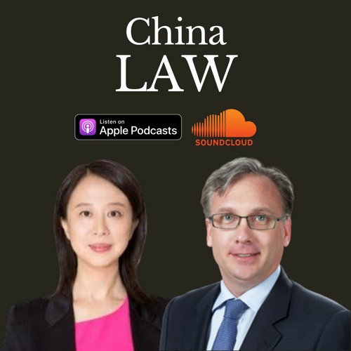 Stream episode 'Unbundling' China's New Data Protection Standards ...
