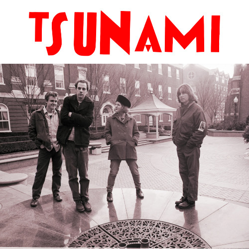 Stream Tsunami - Full Interview by Music For The New Revolution ...